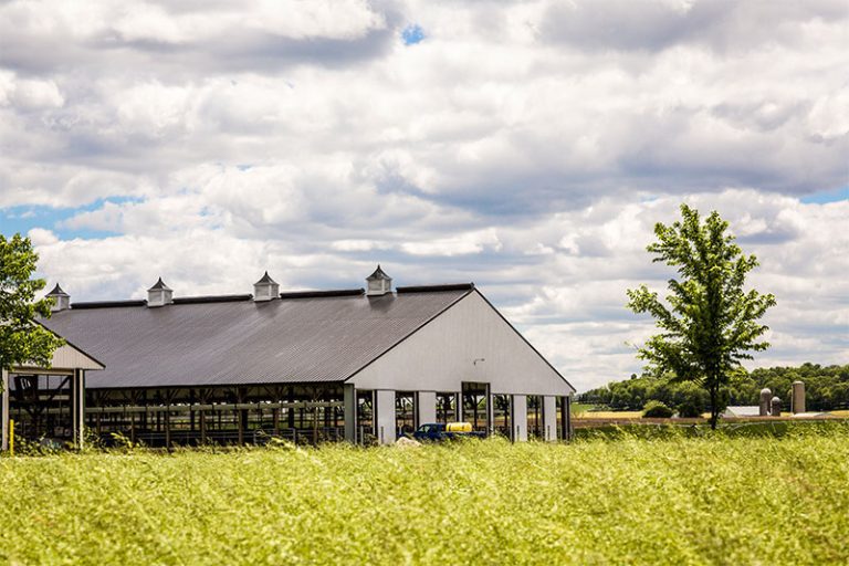 Farm Tour - Kreider Farms